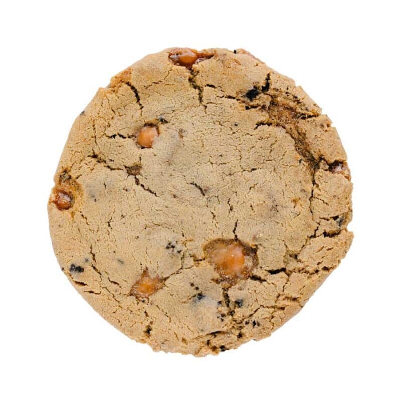 T-Rex Cookie | Nationally Recognized 1/2 lb & 5 lb Cookies | #SizeMatters