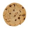 T-Rex Cookie | Nationally Recognized 1/2 lb & 5 lb Cookies | #SizeMatters