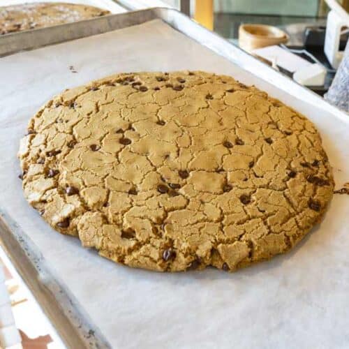 5 Pound T-Rex Cookie - In-Store Pickup | T-Rex Cookie