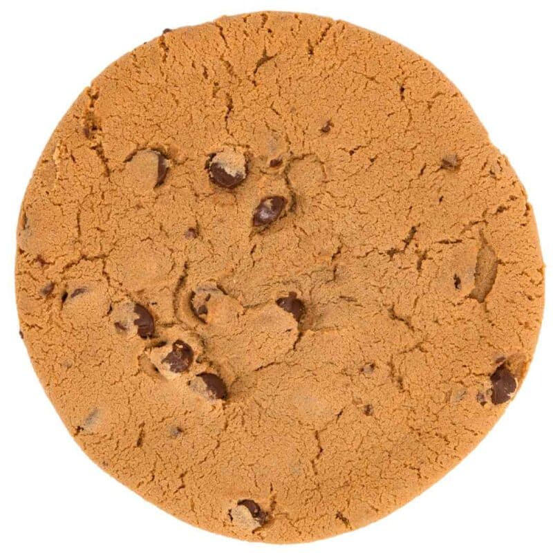 T-Rex Cookie | Nationally Recognized 1/2lb & 5lb Cookies