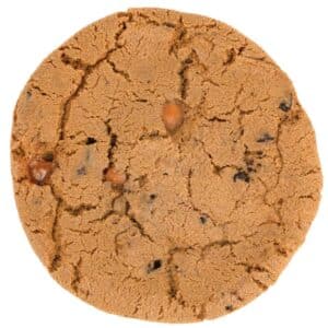 T-Rex Cookie | Nationally Recognized 1/2lb & 5lb Cookies