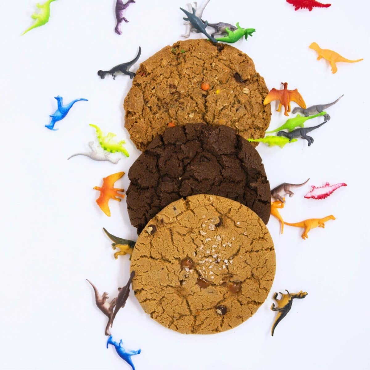 Giant Cookie Choose Your Own 3-Pack | T-Rex Cookie
