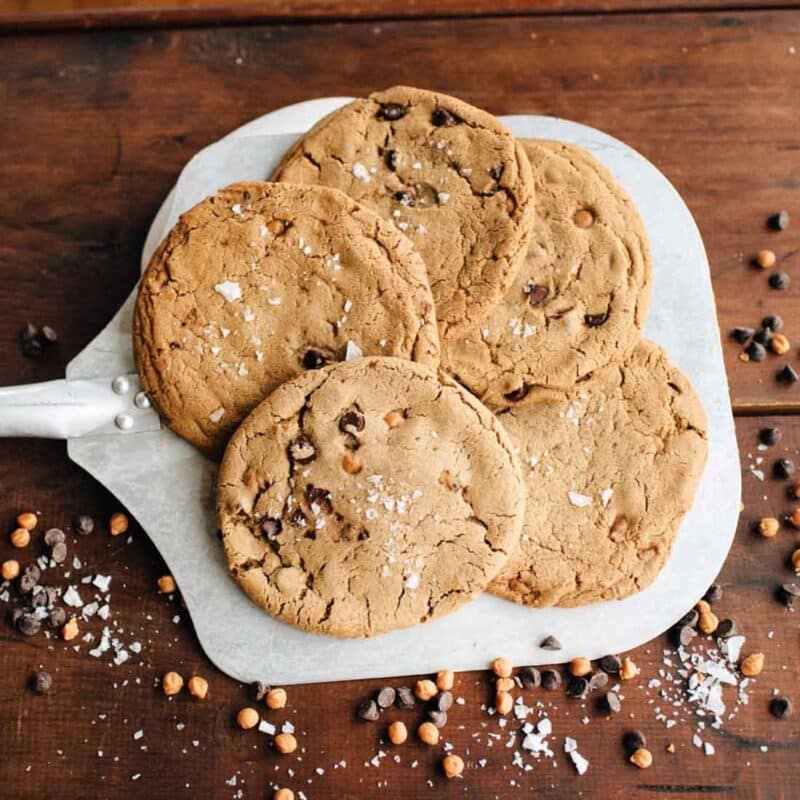 Local Shipping | T-Rex Cookie